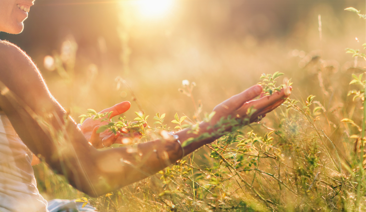 Integrating Mind Body and Soul for Complete Wellness | One Life At Home